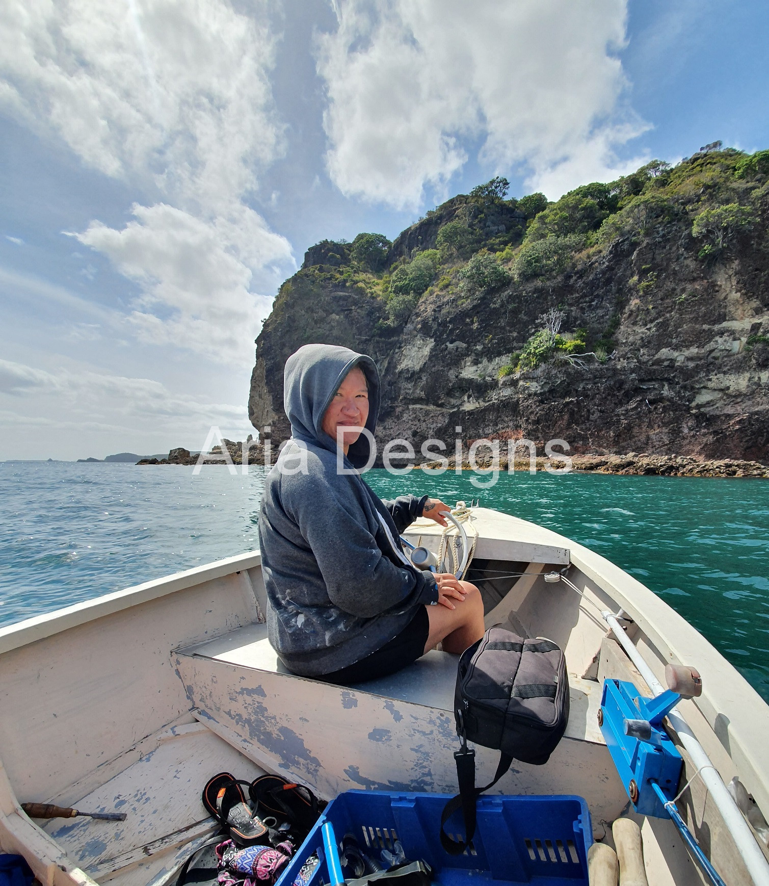 Restoring Aria - Aria Designs