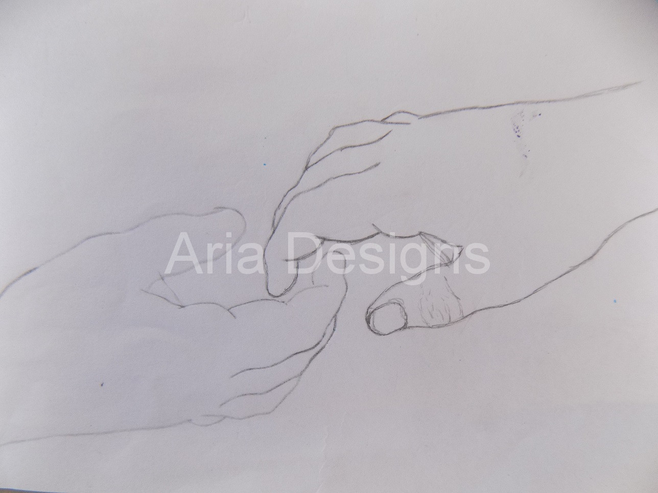 E Tu Whanau project - Aria Designs